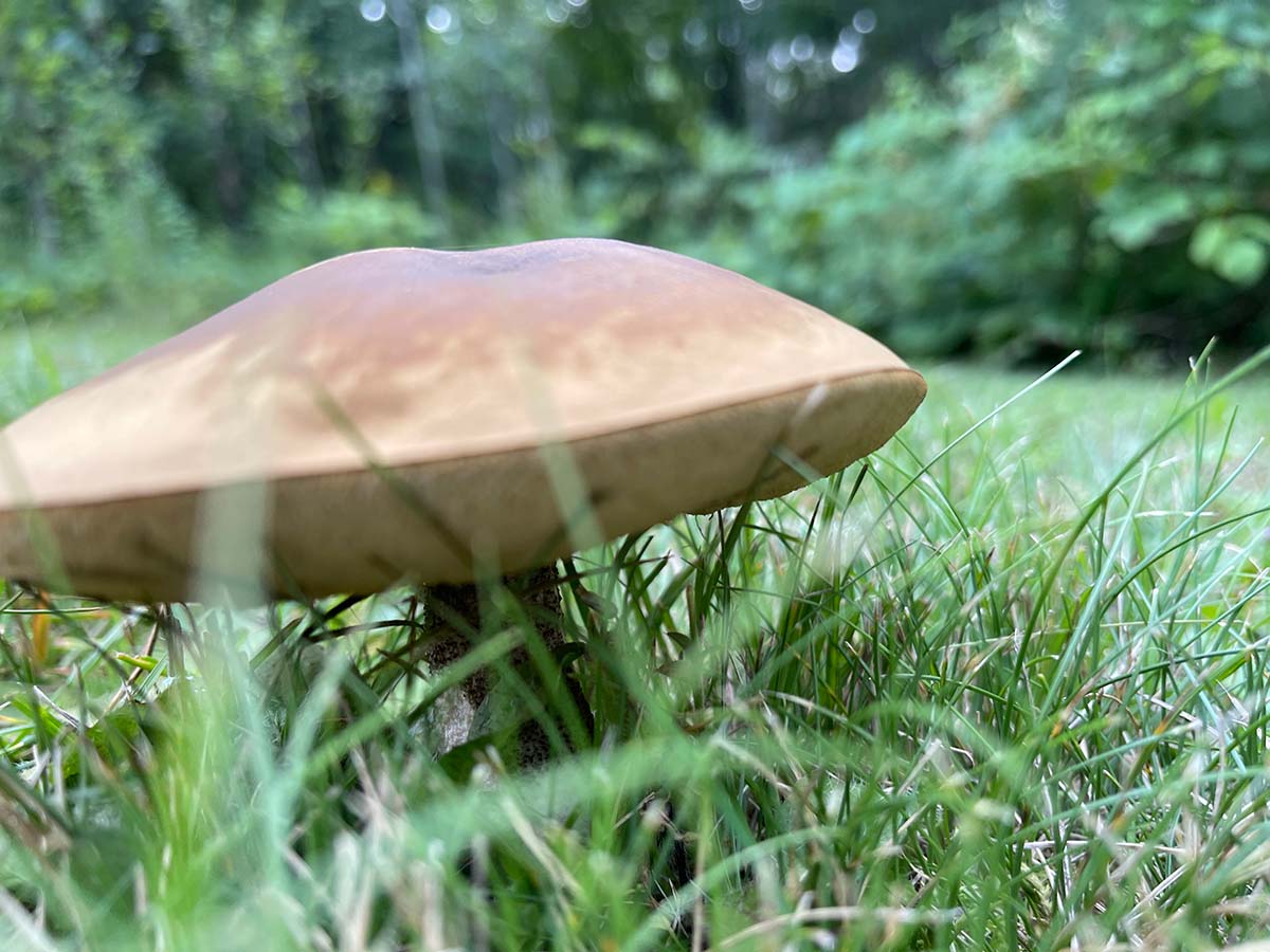 Waste Management Reuse Technology